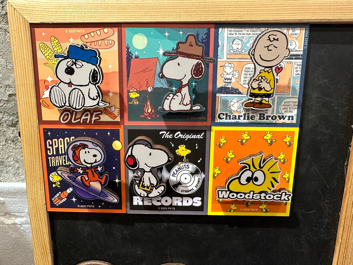 Peanuts Snoopy Magnetic Clip Set | SNPY ONLY