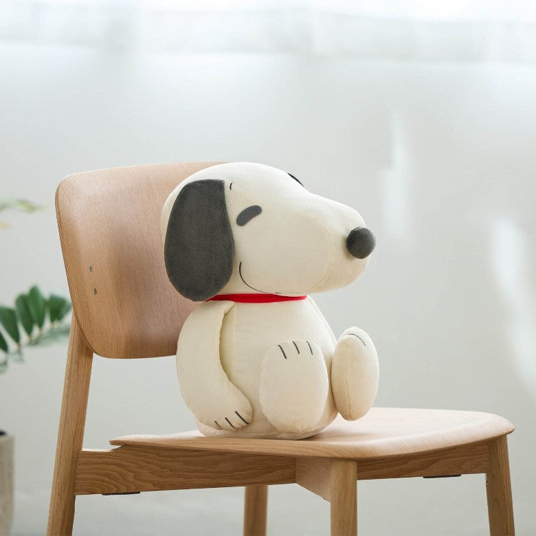 Peanuts Snoopy Medicine Ball | SNPY ONLY